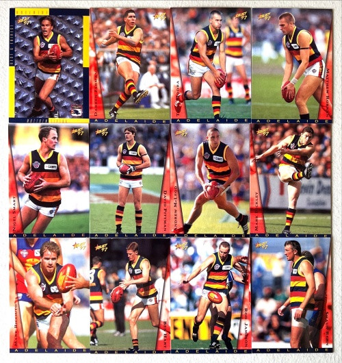 1995 AFL Select Series 1 FITZROY LIONS Base Team Set