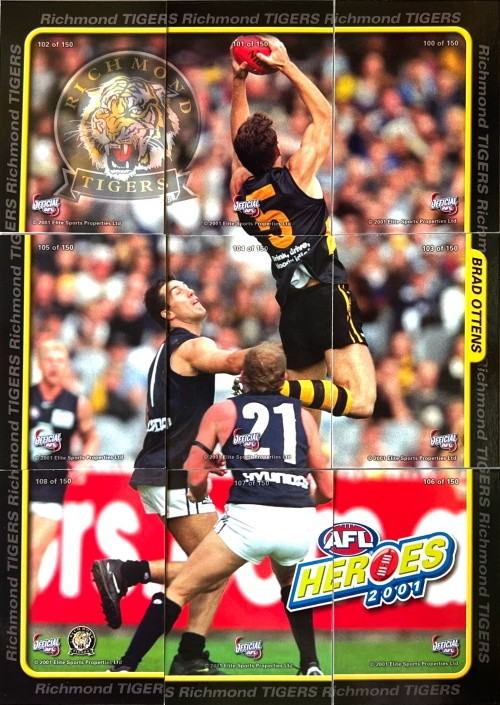 2001 ESP AFL HEROES SERIES RICHMOND TIGERS BASE TEAM SET
