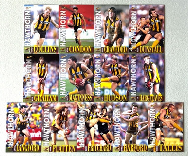 1995 AFL Select Series 1 FITZROY LIONS Base Team Set