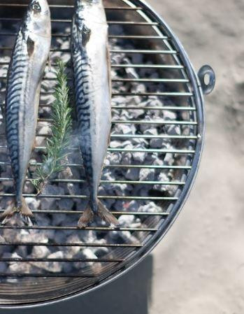 Rock Barbecue - Garden & Terrace