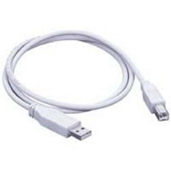 CTG-13172 | 6' USB A TO B