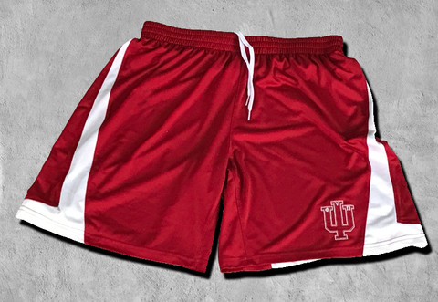 IU IN THE PAINT BASKETBALL SHORTS
