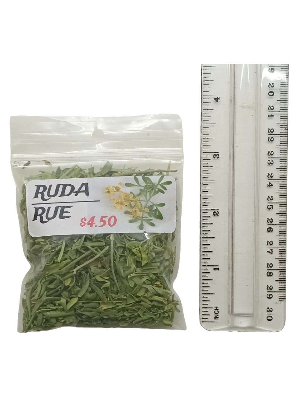 Rue Ruda Dry Herb - Botanica San Lazaro