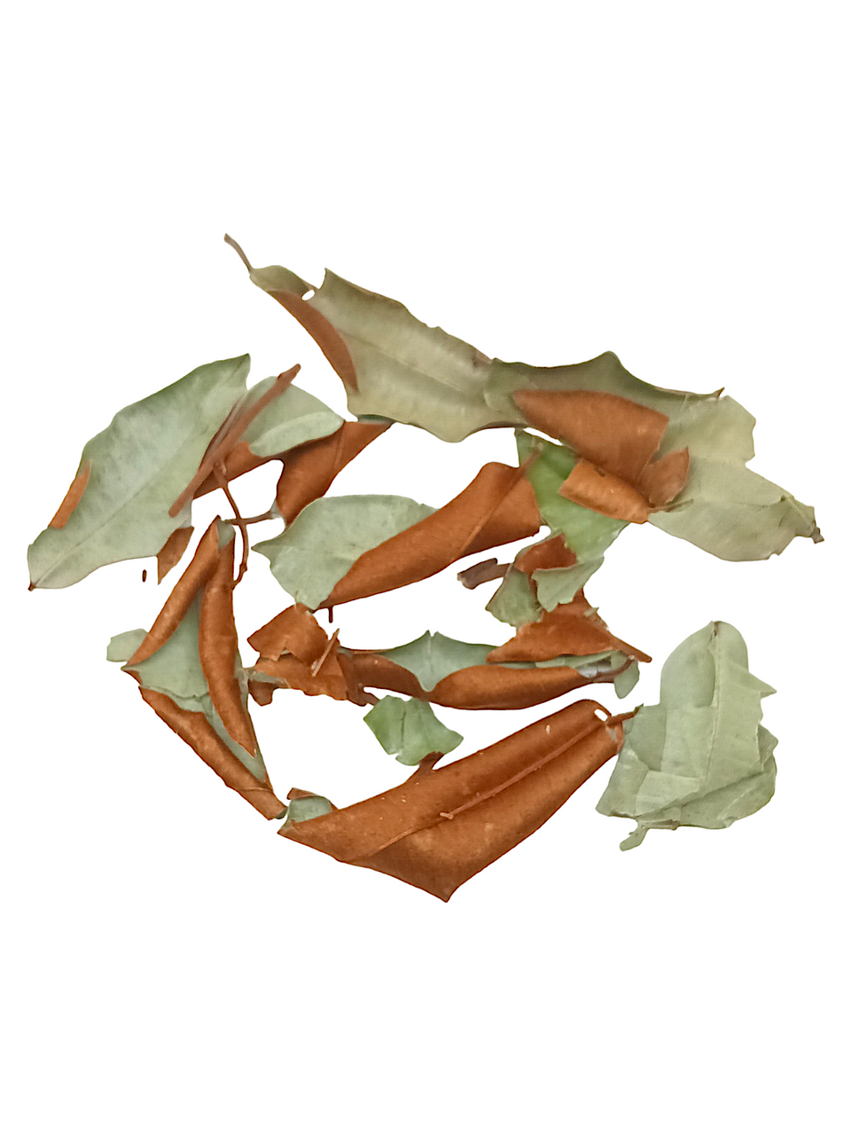 Caimito Leaves Dry Herb - Botanica San Lazaro