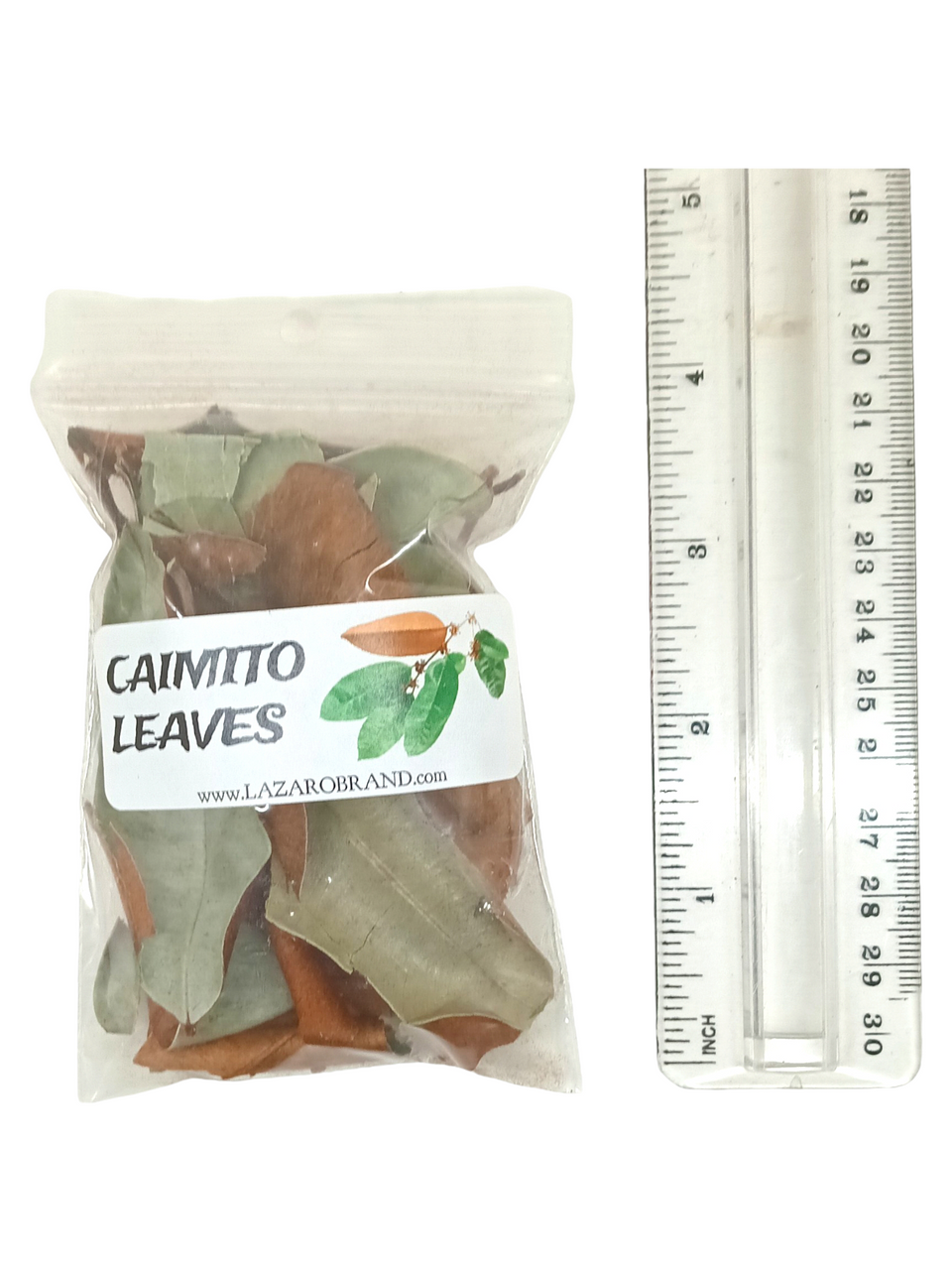 Caimito Leaves Dry Herb - Botanica San Lazaro