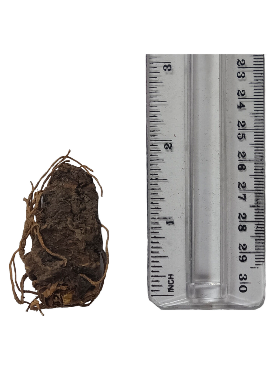 Beth Root Low John Root Dry Herb - Botanica San Lazaro