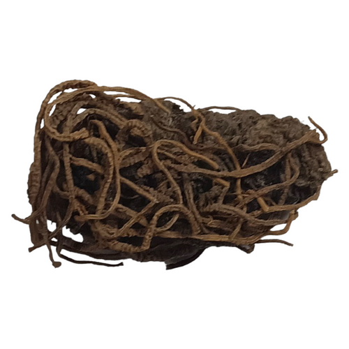 Beth Root Low John Root Dry Herb - Lazaro Brand Spiritual Store