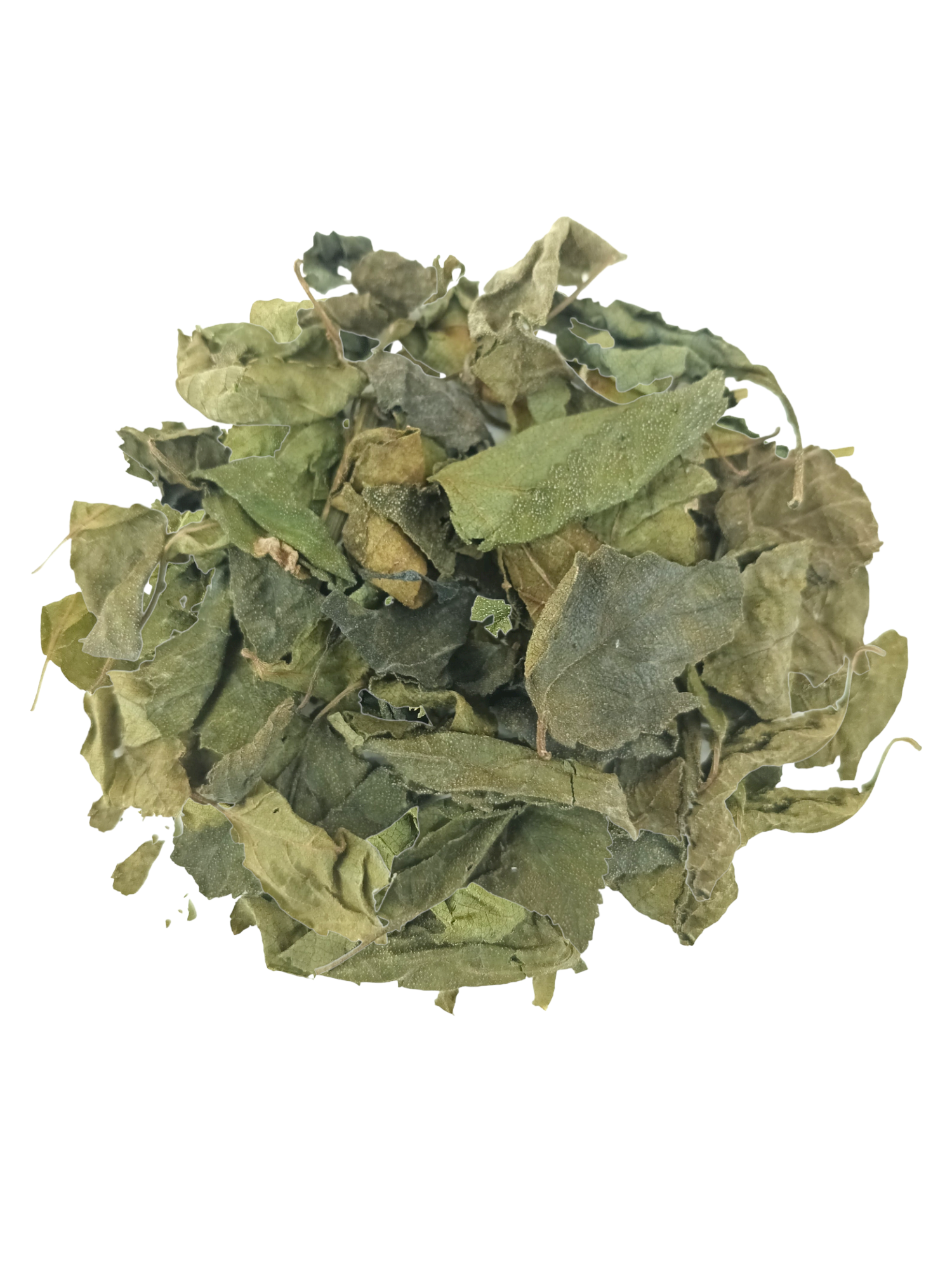 Abre Camino Path Opener Dry Herb - Botanica San Lazaro