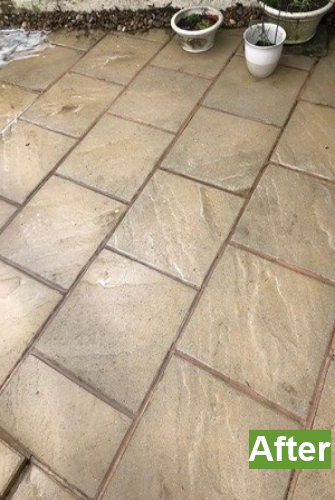 PatioClean Patio Cleaner Driveway & Block Paving Cleaner