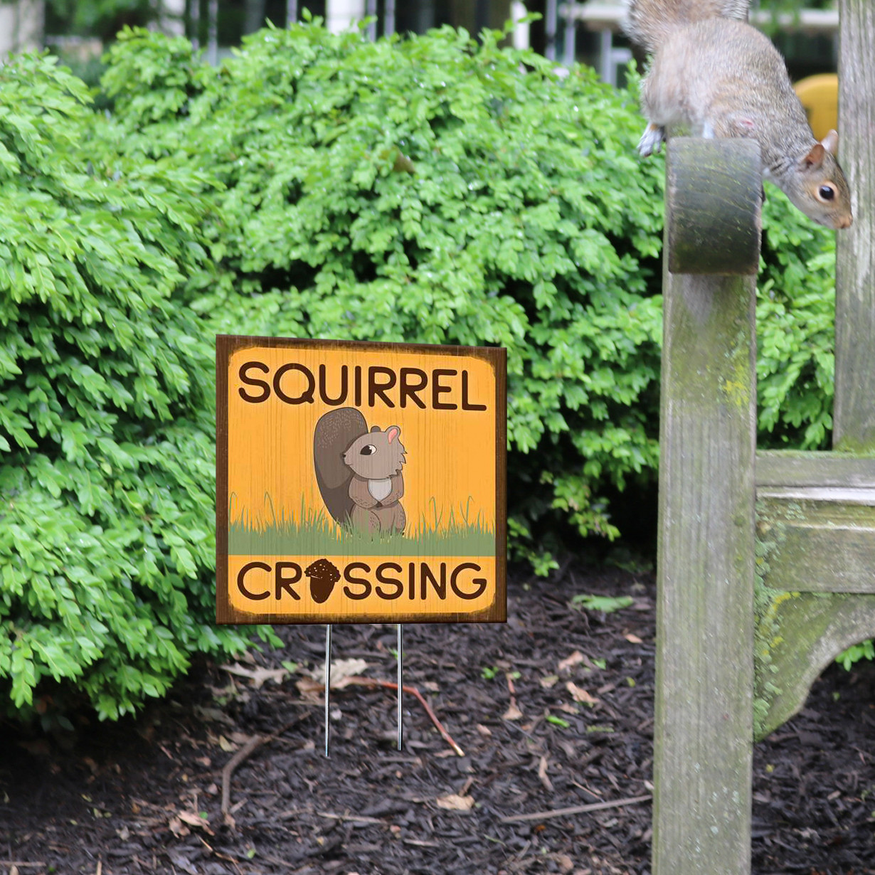 Squirrel Crossing - Square Outdoor Standing Lawn Sign 8x8in. - Country ...