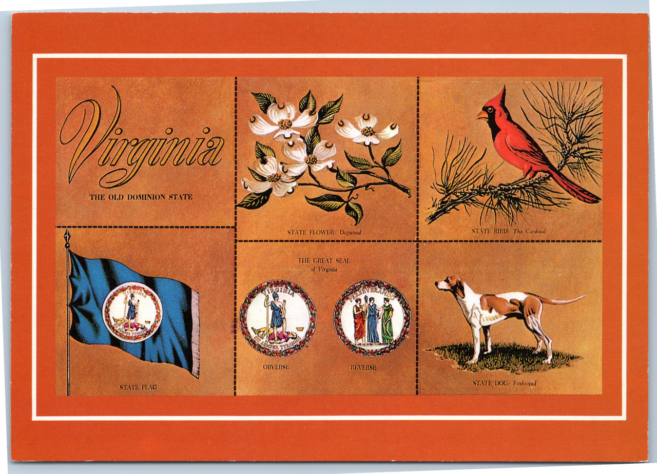 virginia flag old