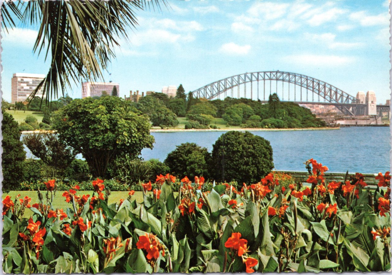 Harbor Bridge from Botanical Gardens - The Gayraj
