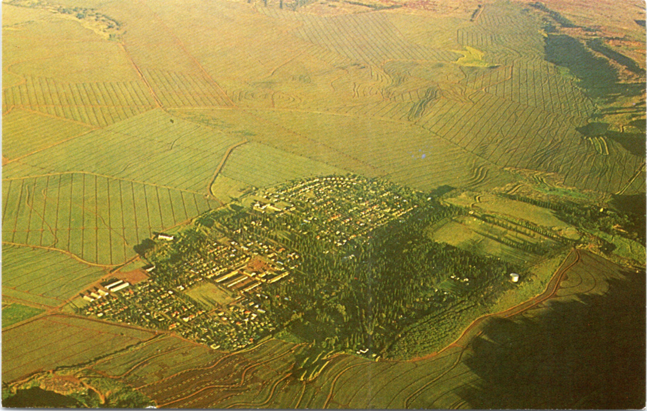 Lanai City, Island of Lanai aerial - The Gayraj