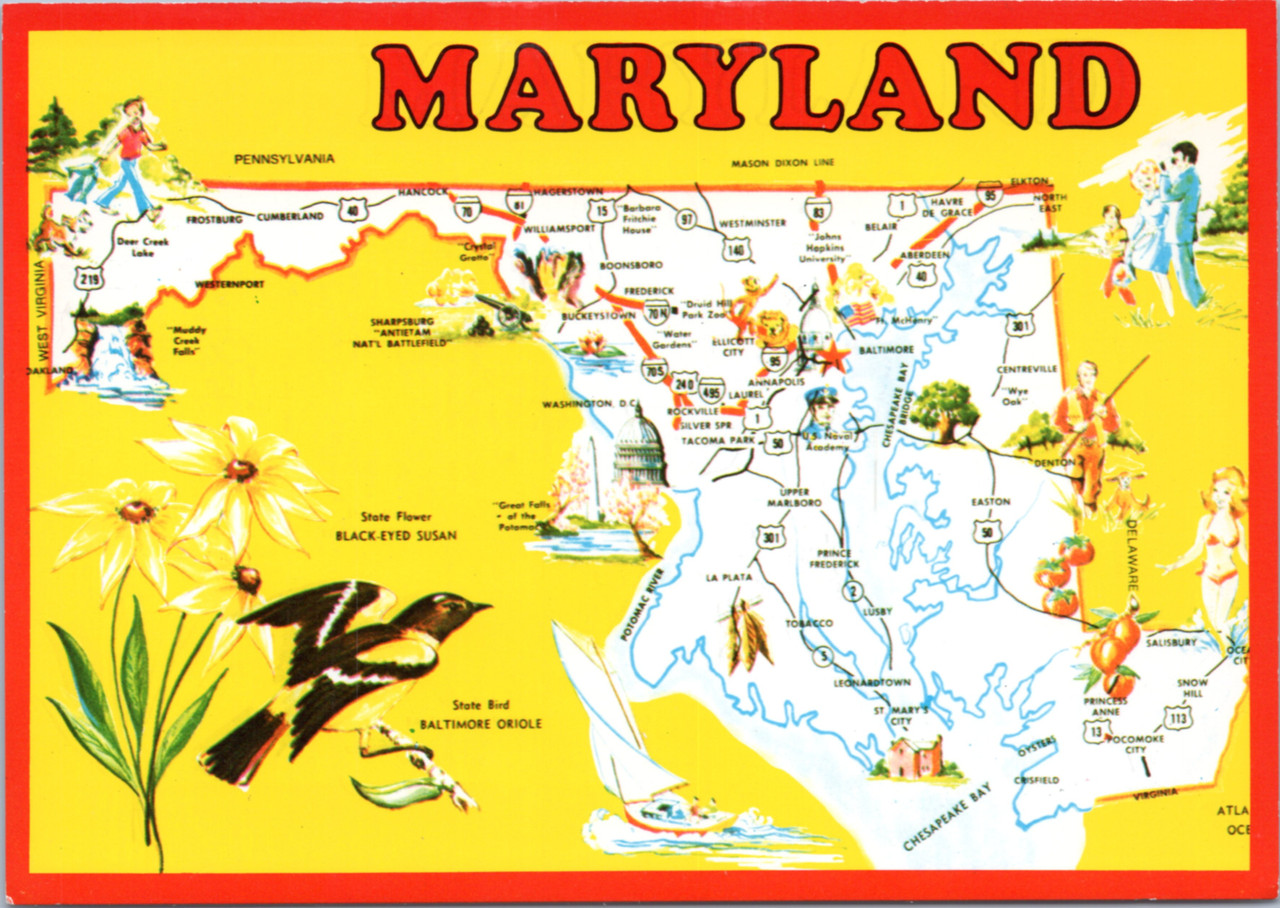 Maryland Map - Map State bird flower - The Gayraj