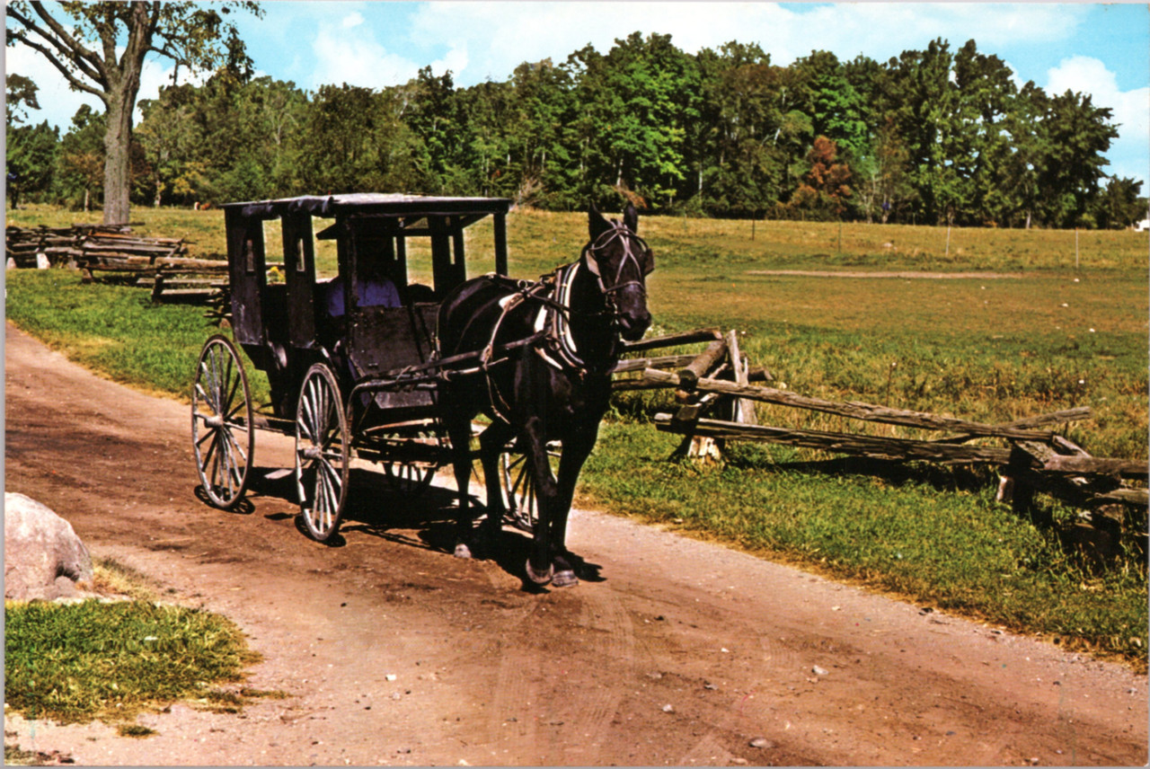 Horse & Carriage buggy on country road in Amish Farmland - The Gayraj