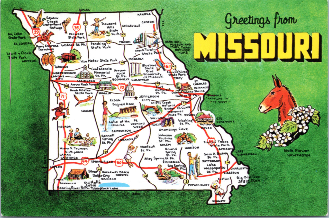 Greetings from Missouri - Map and State Flower - The Gayraj