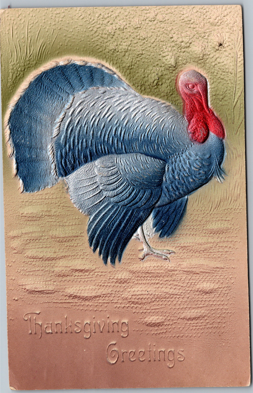 Thanksgiving Greeting blue and red turkey - The Gayraj