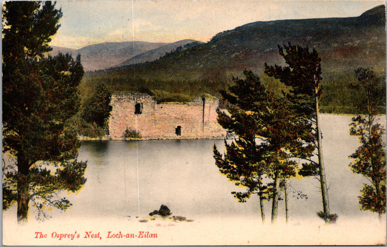 The Osprey s Nest, Loch-an-Eilan Scotland - The Gayraj