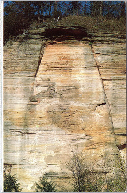 Wisconsin Dells - Cow in the Milk Bottle - The Gayraj