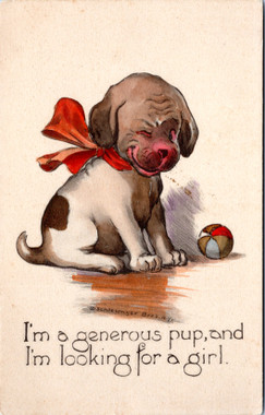 I'm a generous pup, and I'm looking for a girl - The Gayraj