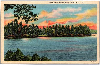 Pine Point East Caroga Lake - The Gayraj