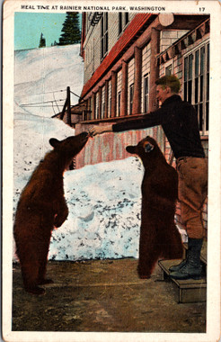 Handler feeding bears at Rainier National Park - The Gayraj