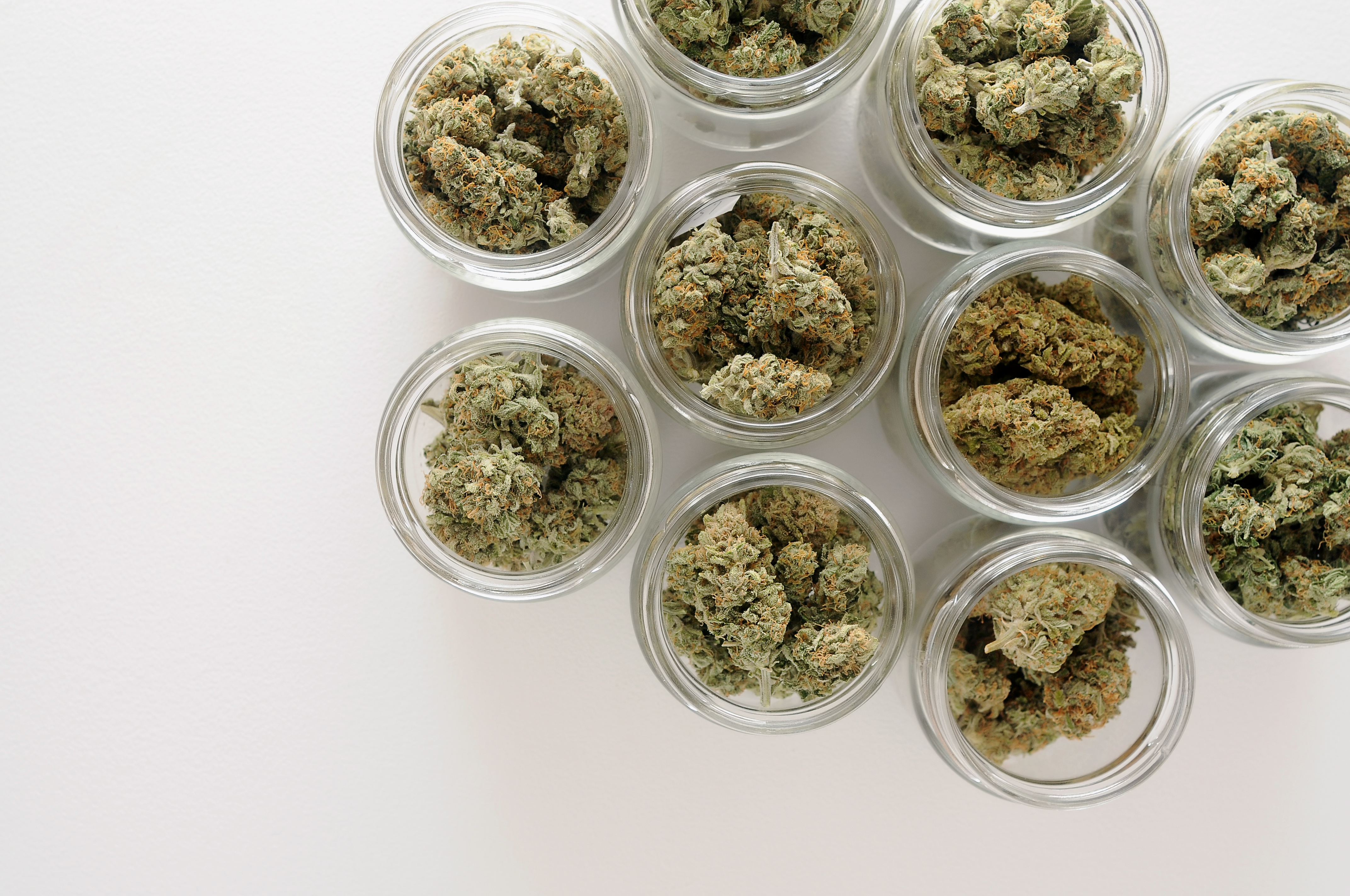 The Secret to Perfect Cannabis Storage: Humidity Packs - PYTHON INDUSTRIES