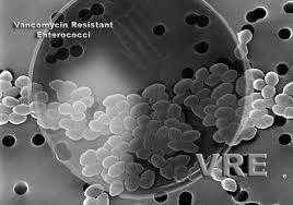 Vancomycin-Resistant Enterococcus VRE Online Training