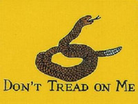 Gadsden Flags - Outdoor Historical - fredsflags