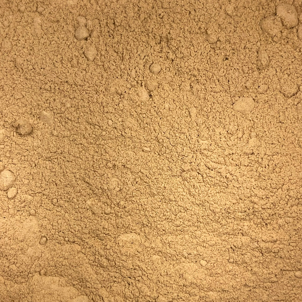 Maitake Mushroom Powder