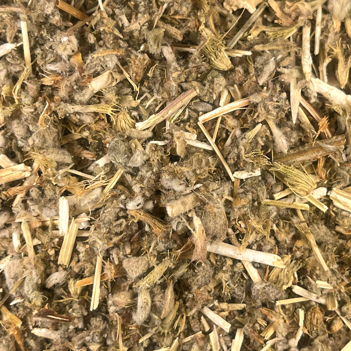 Horehound