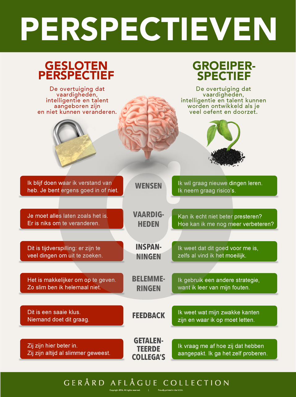 Dutch Growth Mindset Classroom Poster