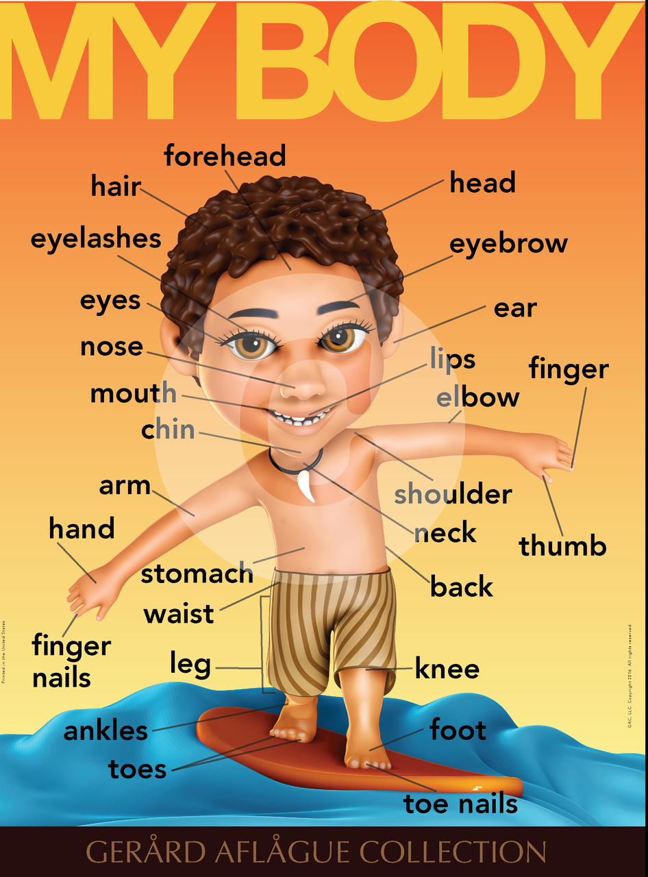 English Teach Me My Body Parts - Male - Teacher Classroom Poster