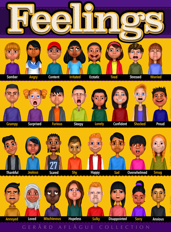 Feelings or Emotions Poster - 18x24