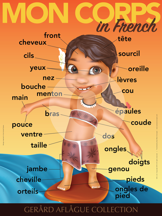 My Body Parts in French (Mon Corps) Poster - Girl - 18x24 inches