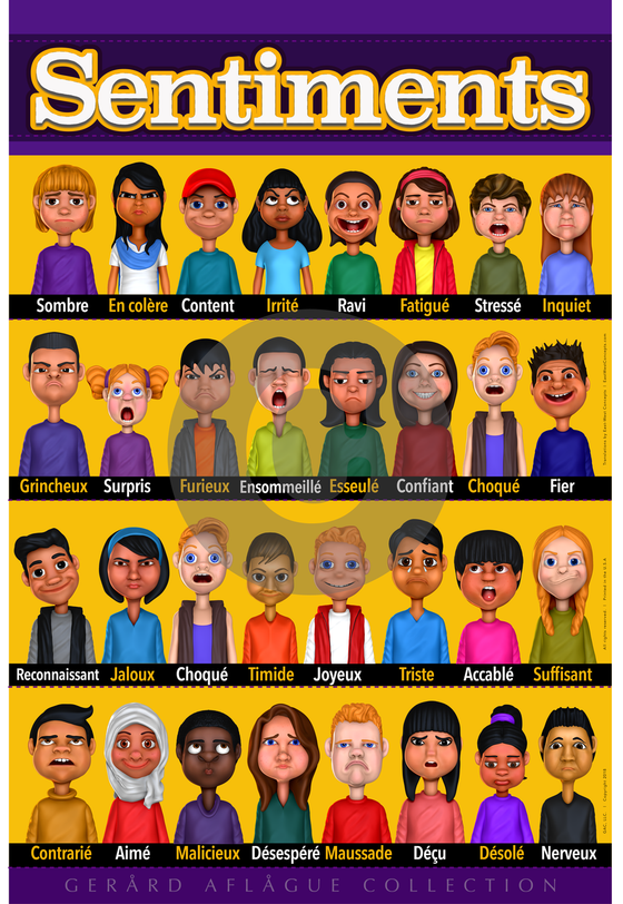 Feelings (Emotions) Poster in French - 18x24