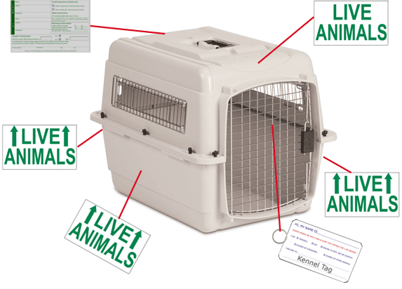 Live Animal Stickers for Labeling Airline Travel Kennel