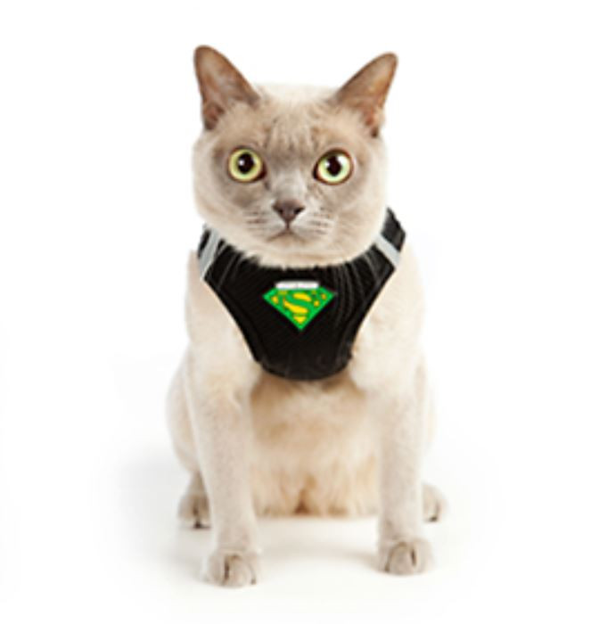 Cat Harness with Leash Easy Step-in Design