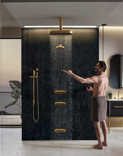What is a Shower System and What Does it Include. Components of a ...