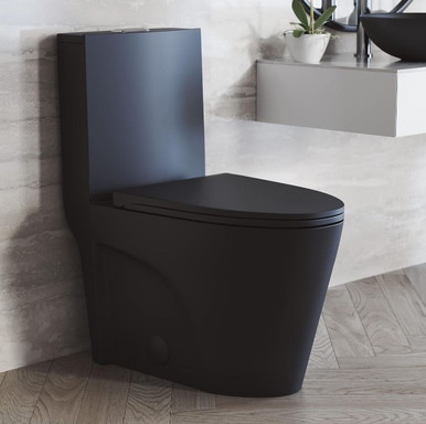 Crown Ever Clean Matte Black Dual Flush One Piece Toilet