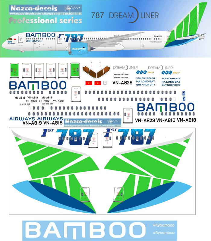 1/144 Scale Decal Bamboo 787