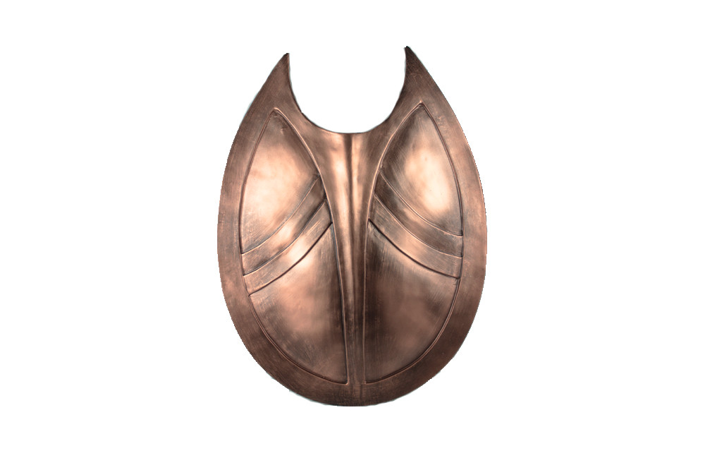 300 Spartan Shield