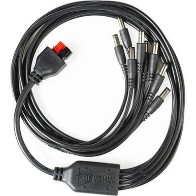 RF Venue DC Octopus 8-Connector Power Distribution Cable - GoKnight