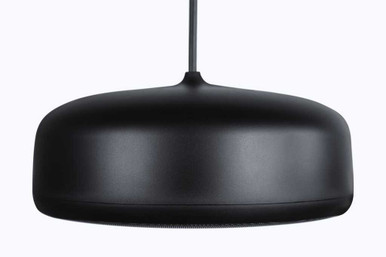 Biamp Desono P6-SM Pendant, Indoor/Outdoor 6.5-inch Coaxial Loudspeaker ...