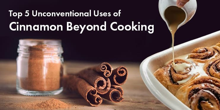 Top 5 Unconventional Uses of Cinnamon Beyond Cooking - www.suryamasale.com