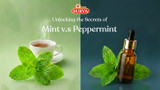 Mint vs Peppermint: Key Differences, Health Benefits & Culinary Uses ...