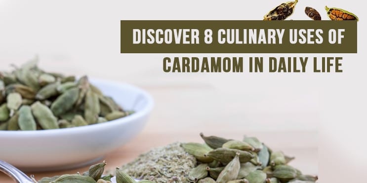 Discover 8 Culinary Uses of Cardamom in Daily Life - www.suryamasale.com