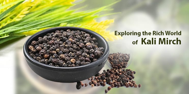 Exploring the Rich World of Kali Mirch - www.suryamasale.com