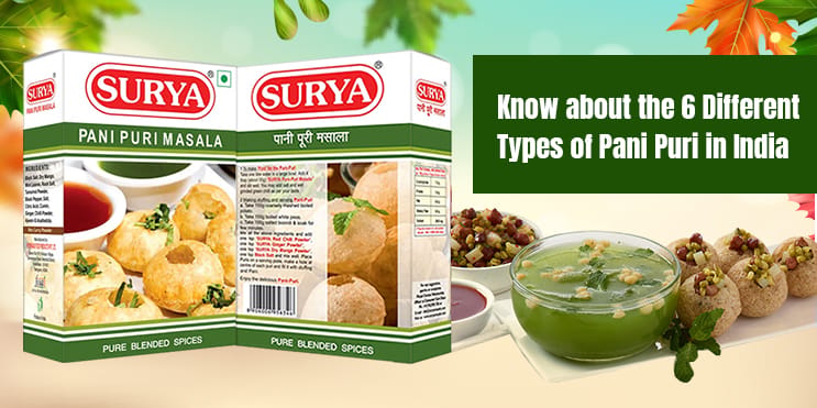 Know about the 6 Different Types of Pani Puri in India - www ...