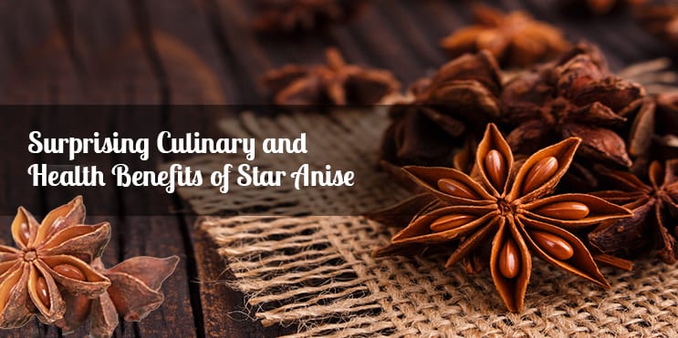 Surprising Culinary and Health Benefits of Star Anise - www.suryamasale.com